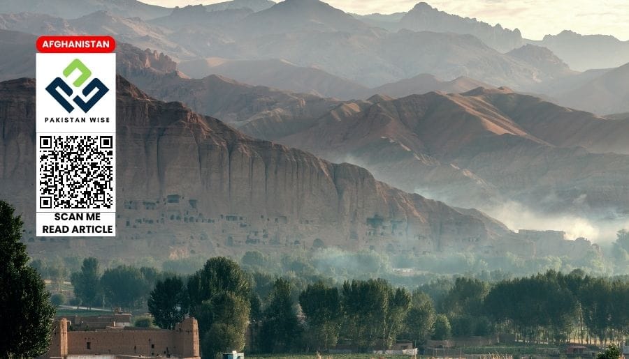 1209 Afghans Find Their Way Home: Angoor Adda Border - Pakistan Wise